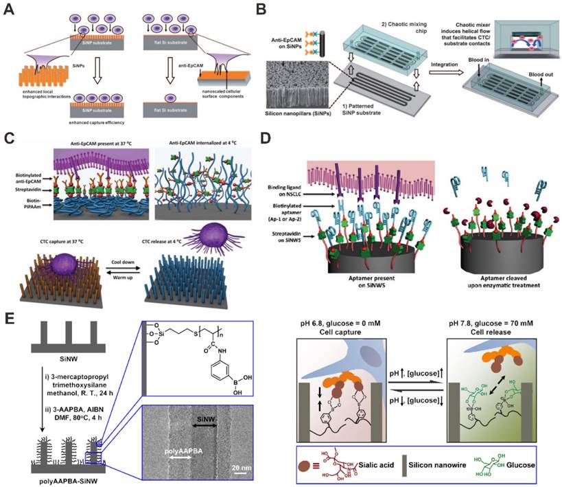 Nanomaterial-based Microfluidic Chips for the Capture and Detection of ...