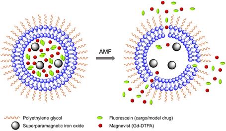 Magnetic Heating Stimulated Cargo Release with Dose Control using ...