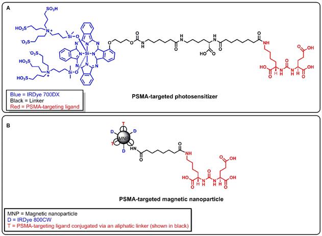Prostate-specific membrane antigen (PSMA)-targeted photodynamic therapy ...
