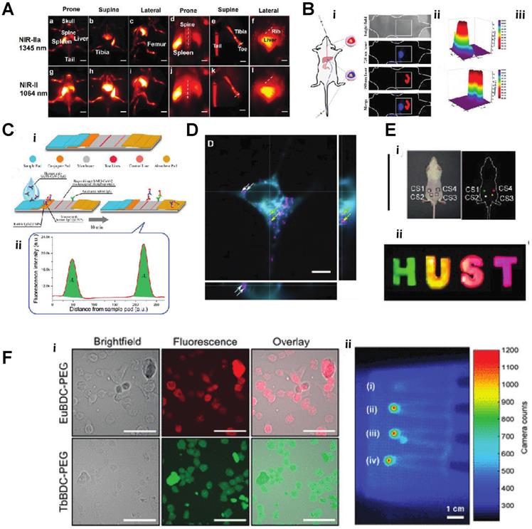 Biomedical Applications of Lanthanide Nanomaterials, for Imaging ...