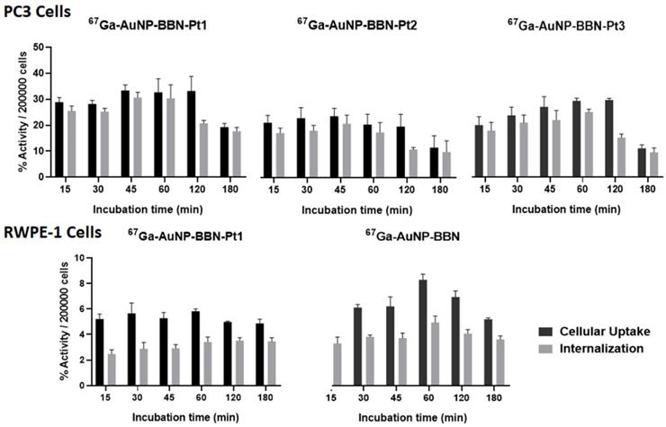 Image-Guided Nanodelivery of Pt(IV) Prodrugs to GRP-Receptor Positive ...