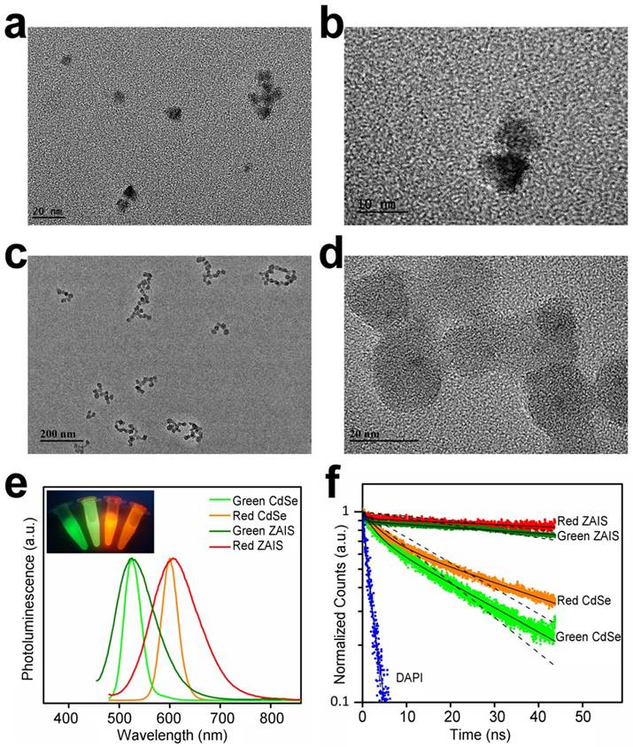 Engineering Quantum Dots with Different Emission Wavelengths and ...