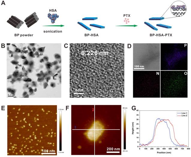 Black Phosphorus Nanosheets for Mild Hyperthermia-Enhanced Chemotherapy ...
