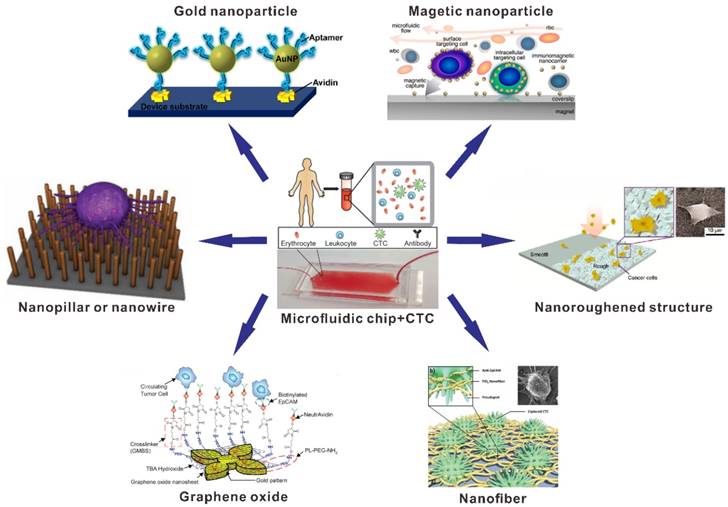 Nanomaterial-based Microfluidic Chips for the Capture and Detection of ...