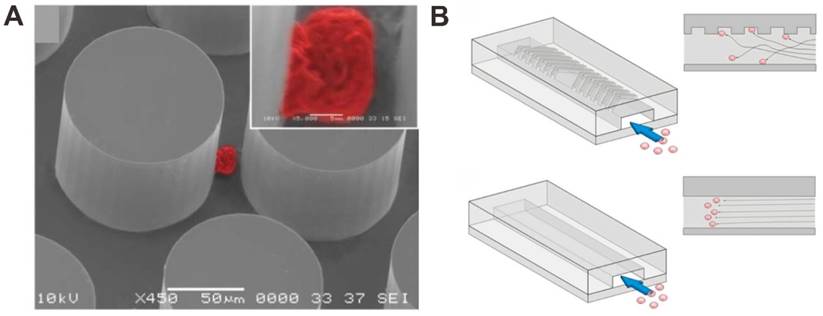 Nanomaterial-based Microfluidic Chips for the Capture and Detection of ...