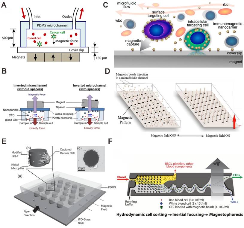 Nanomaterial-based Microfluidic Chips for the Capture and Detection of Circulating Tumor Cells
