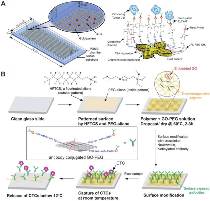 Nanomaterial-based Microfluidic Chips for the Capture and Detection of ...