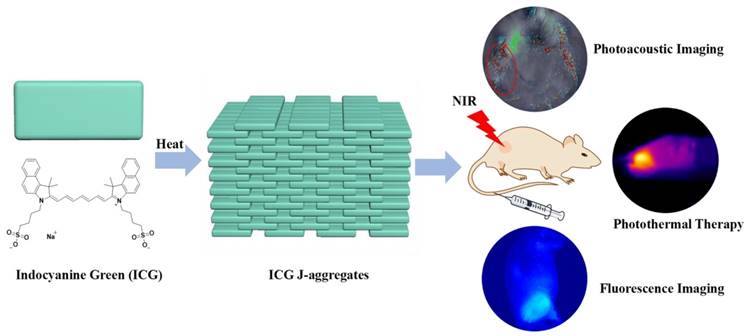 Nano-sized Indocyanine Green J-aggregate as a One-component Theranostic ...