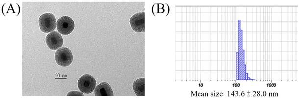 Nd3+ sensitized core-shell-shell nanocomposites loaded with IR806 dye ...