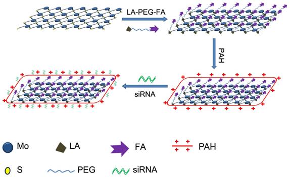 Functionalized MoS2 Nanosheets as Multi-Gene Delivery Vehicles for In Vivo Pancreatic Cancer Therapy