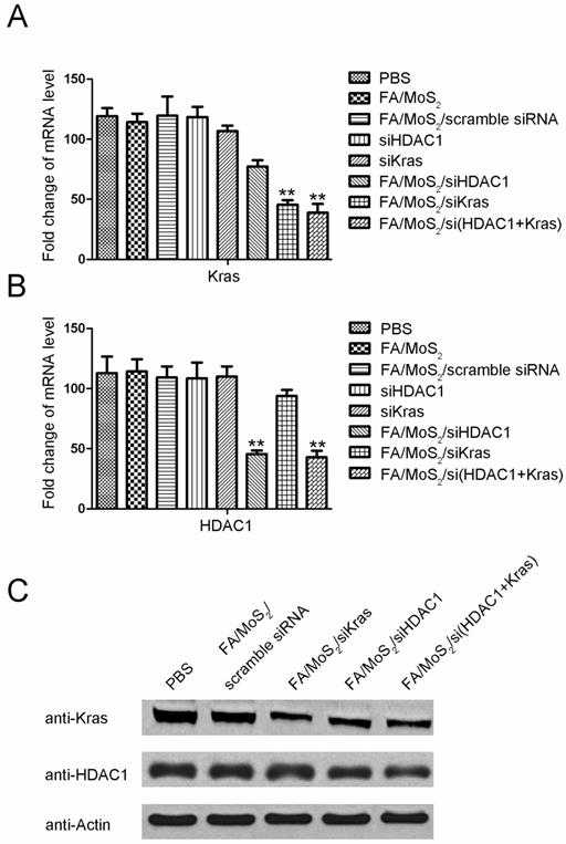 Functionalized MoS2 Nanosheets as Multi-Gene Delivery Vehicles for In Vivo Pancreatic Cancer Therapy