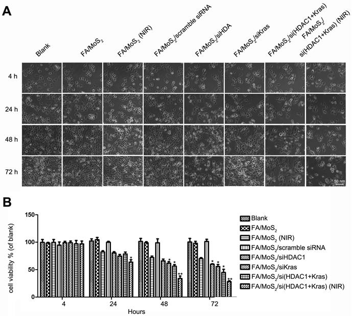Functionalized MoS2 Nanosheets as Multi-Gene Delivery Vehicles for In Vivo Pancreatic Cancer Therapy