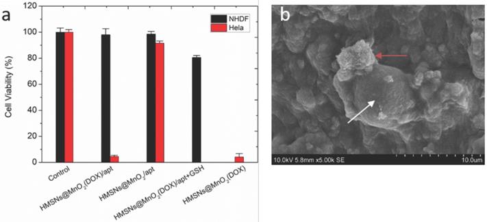 MnO2-gated Nanoplatforms with Targeted Controlled Drug Release and ...