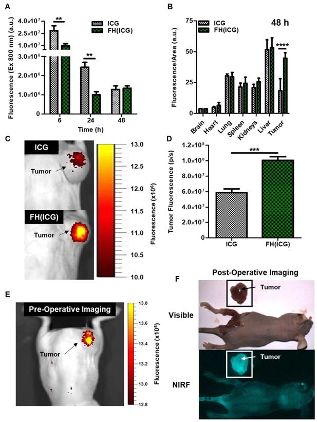 Tumor-Activatable Clinical Nanoprobe for Cancer Imaging
