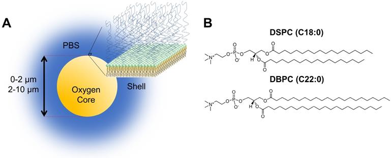 Phospholipid Oxygen Microbubbles for Image-Guided Therapy