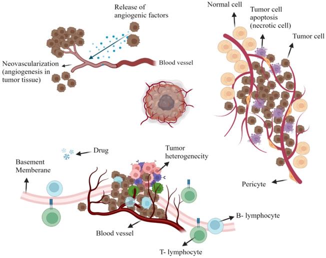 Nanotechnology Advances in the Detection and Treatment of Cancer: An ...