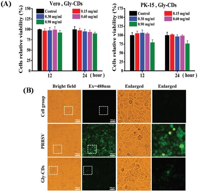 Progress on Applying Carbon Dots for Inhibition of RNA Virus Infection