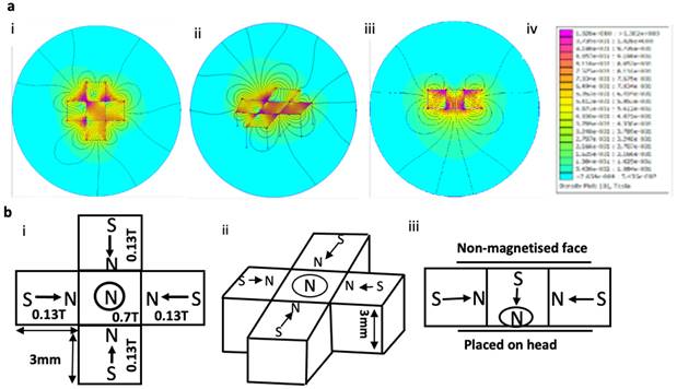 Development of a Personalised Device for Systemic Magnetic Drug ...