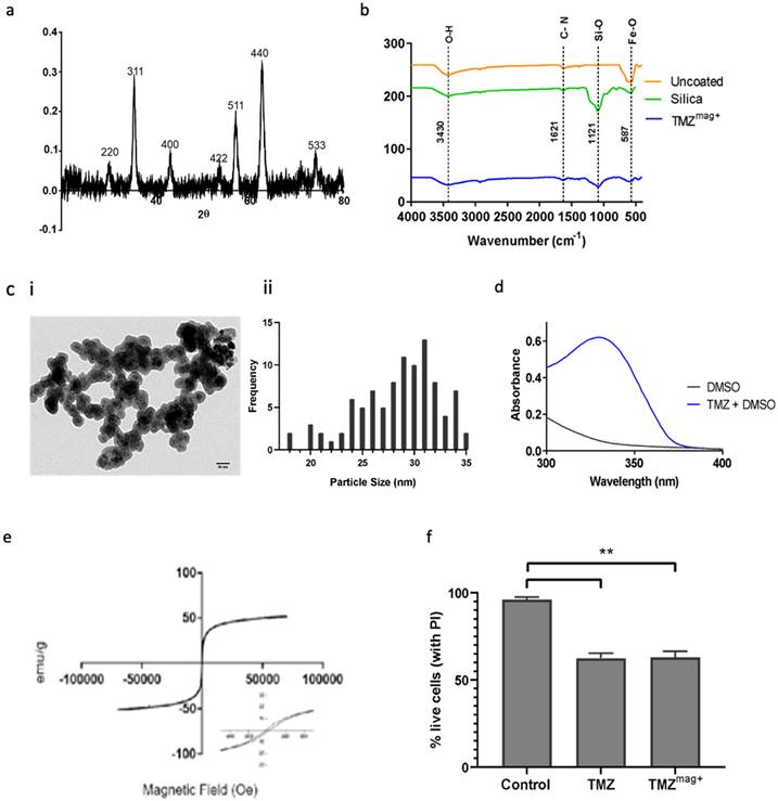 Development of a Personalised Device for Systemic Magnetic Drug ...